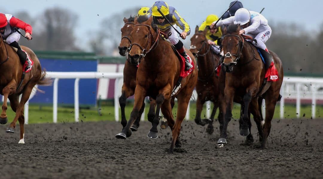 ITV Racing Tips: Kew Gardens and Hunaina at the double at Lingfield
