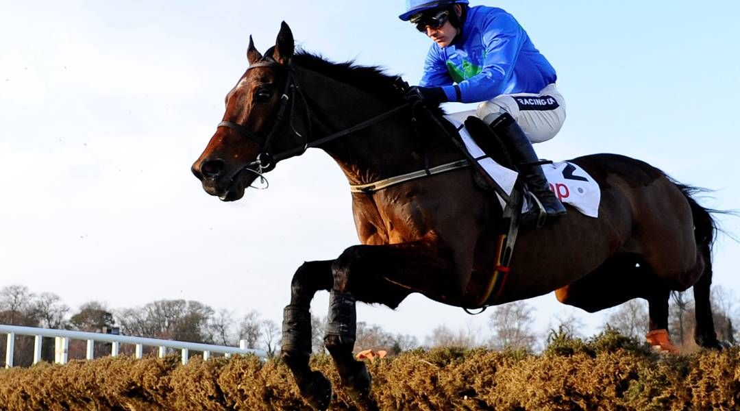 Hurricane Fly rolling back the years and represents Champion Hurdle value
