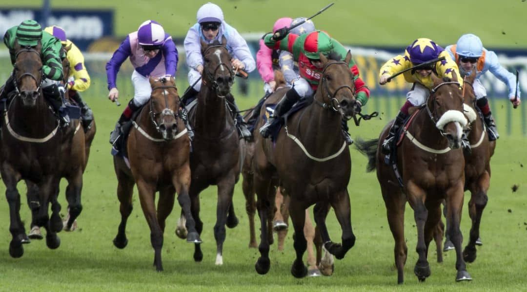 Ayr Gold Cup: Mr Lupton, Nahaarr & Stone of Destiny the favourites