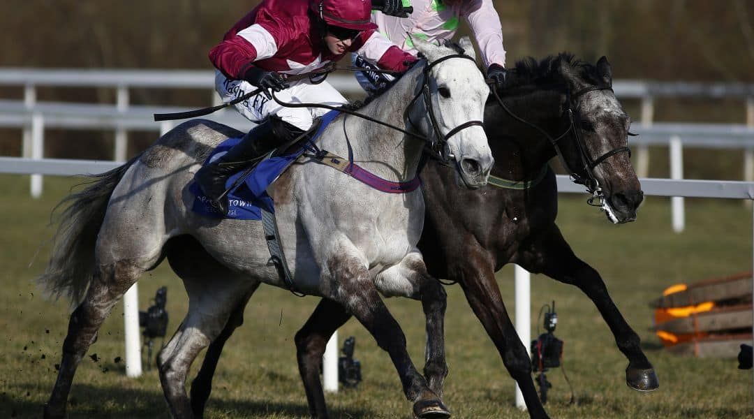 King of Stats: Mullins’ filly to bring Paris to Punchestown