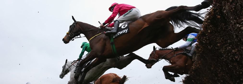 Grand National ante-post: Tiger Roll 5/1, Lake View Lad now 20s