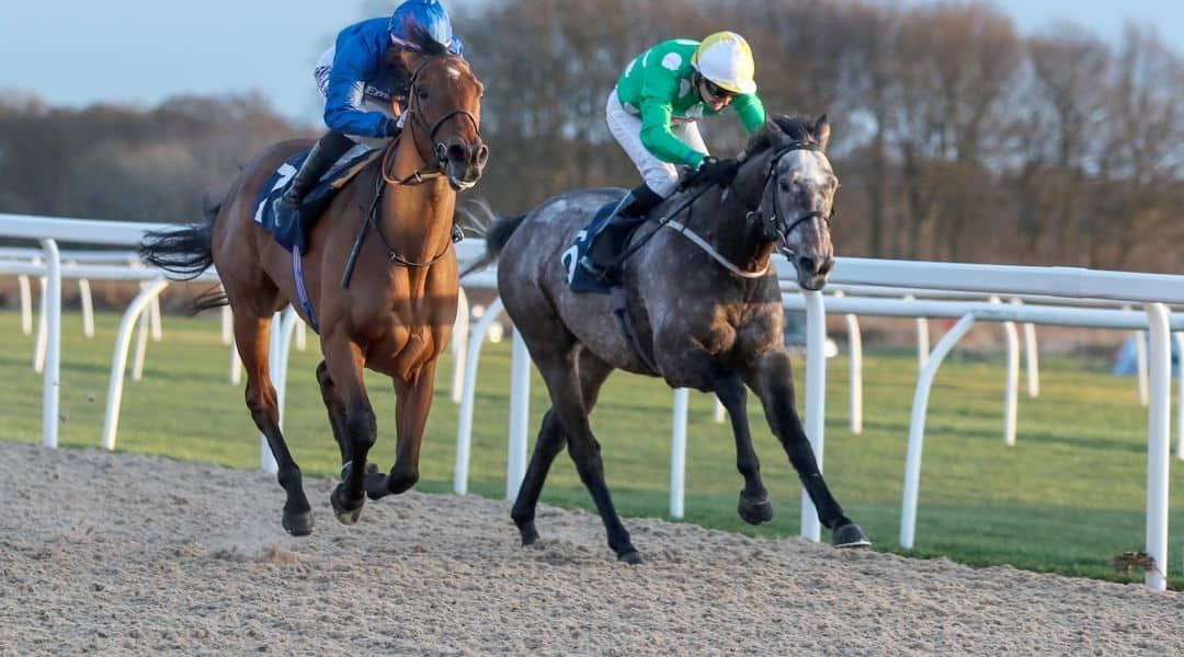 ITV Racing Tips: Scenery can land Plate success at Newcastle