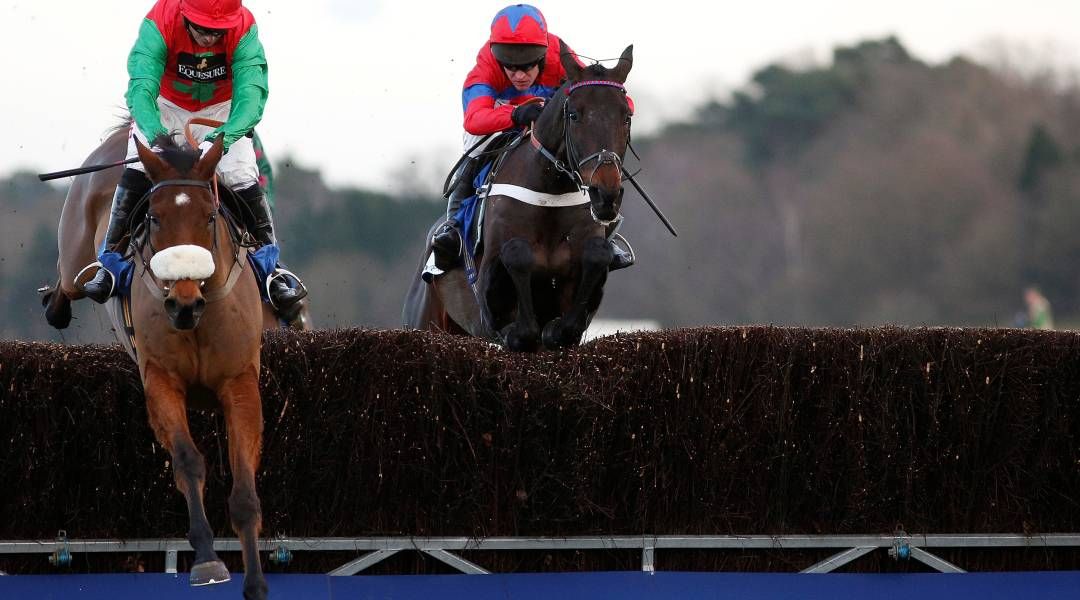 Racing Round-up: Ascot defeat means little for Sprinter Sacre
