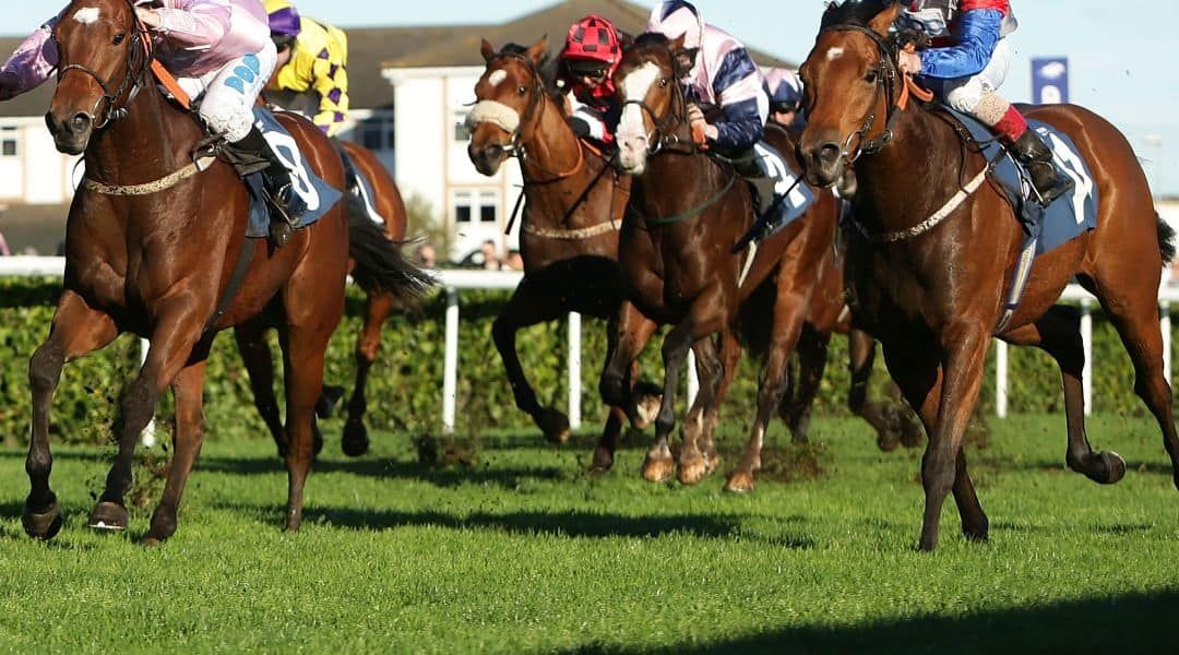 ITV Racing Tips: Can Take Cover defend Beverley Bullet crown?