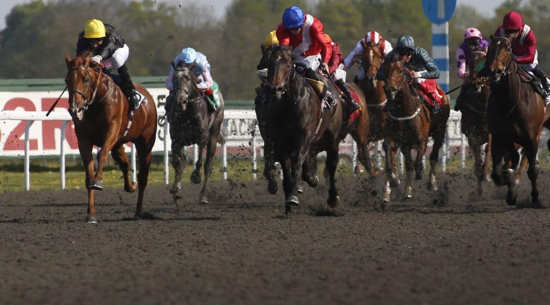 ITV Racing Tips: Cap Du Nord can deliver big Kempton prize for ...