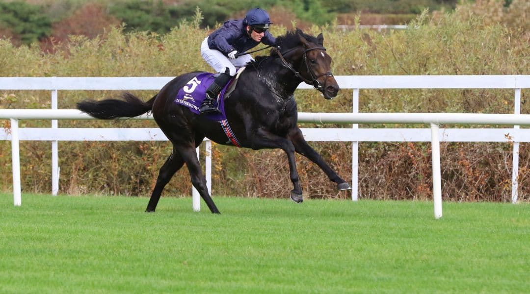 Your essential guide to the 2017 Derby runners and riders