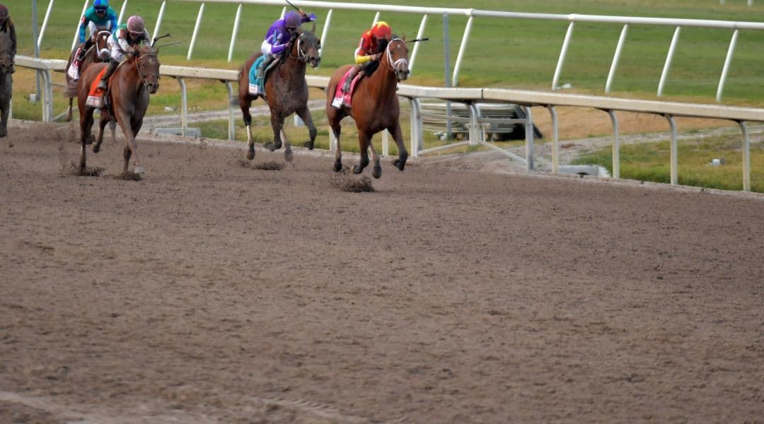 2020 Florida Derby: Our guide to the key runners at Gulfstream