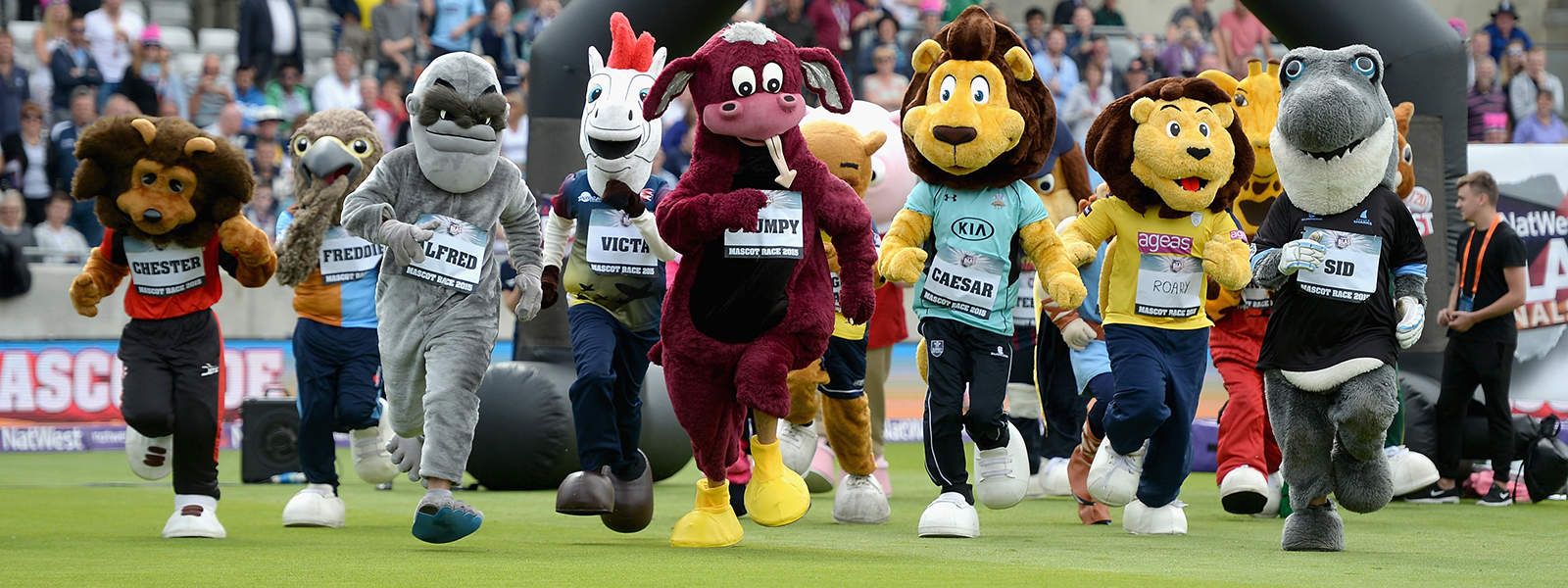 Calling all football fans: Help us find Harry Hoopo’s head