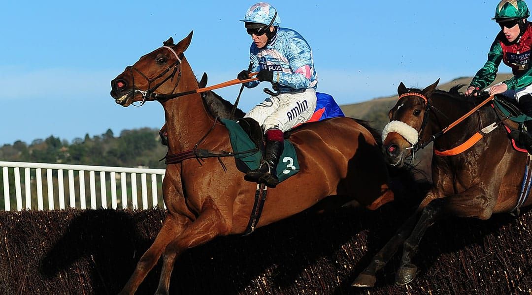 Consider this alternative as Johnson’s best ante-post Cheltenham hope