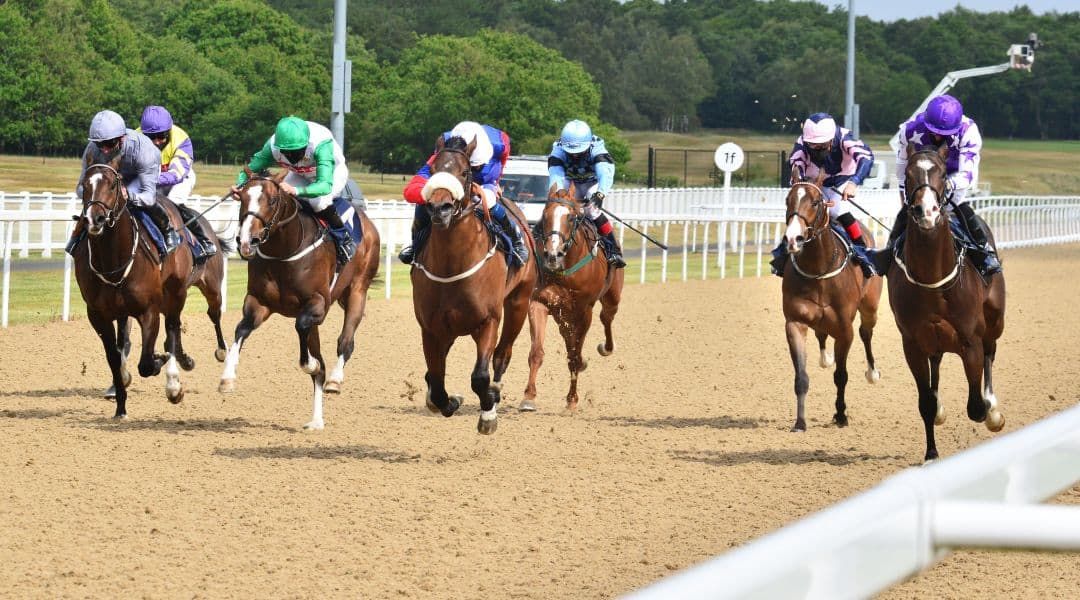 ITV RACING TIPS: CAN SMART CHAMPION TAKE THE NORTHUMBERLAND PLATE?
