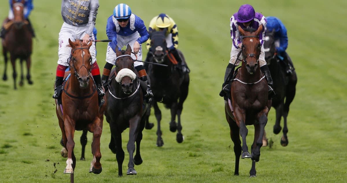 Channel 4 Racing: O’Brien ace to emulate two greats at Sandown