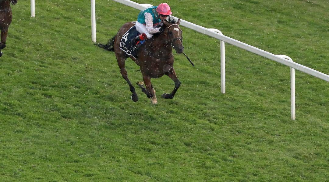 WATCH: Frankie discusses Enable’s Irish Oaks chances