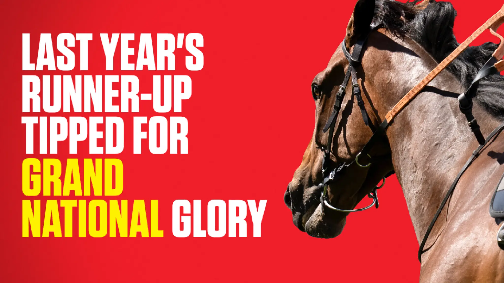 Last year's runner-up favourite to win 2026 Grand National
