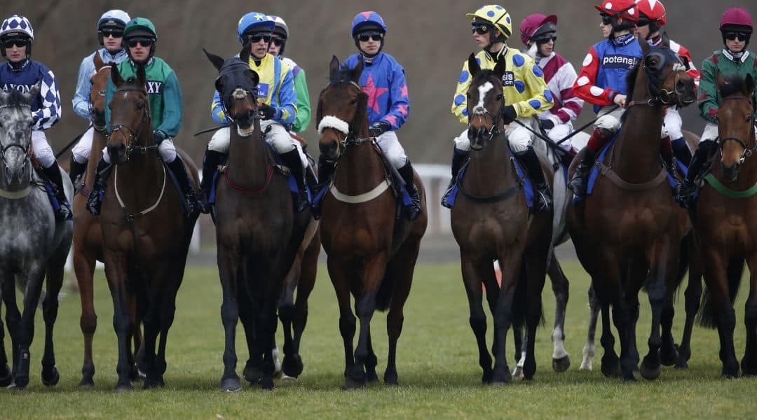 Impressive Double Shuffle is the one to keep an eye on at Kempton