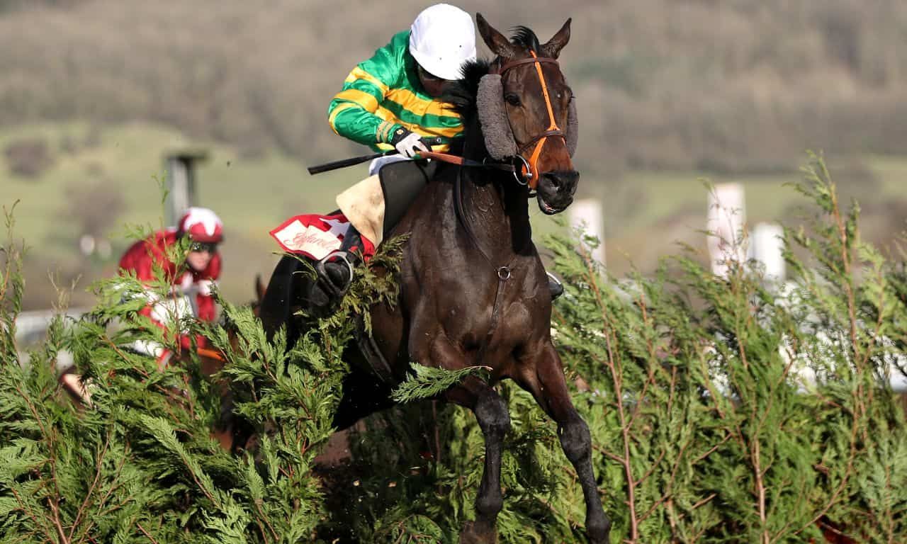 ITV Racing Tips: Can Easysland Roll Tiger over again at Cheltenham?
