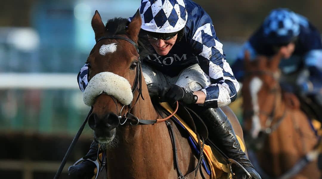 David Williams’ top tips for Haydock Champion Hurdle trial…and more