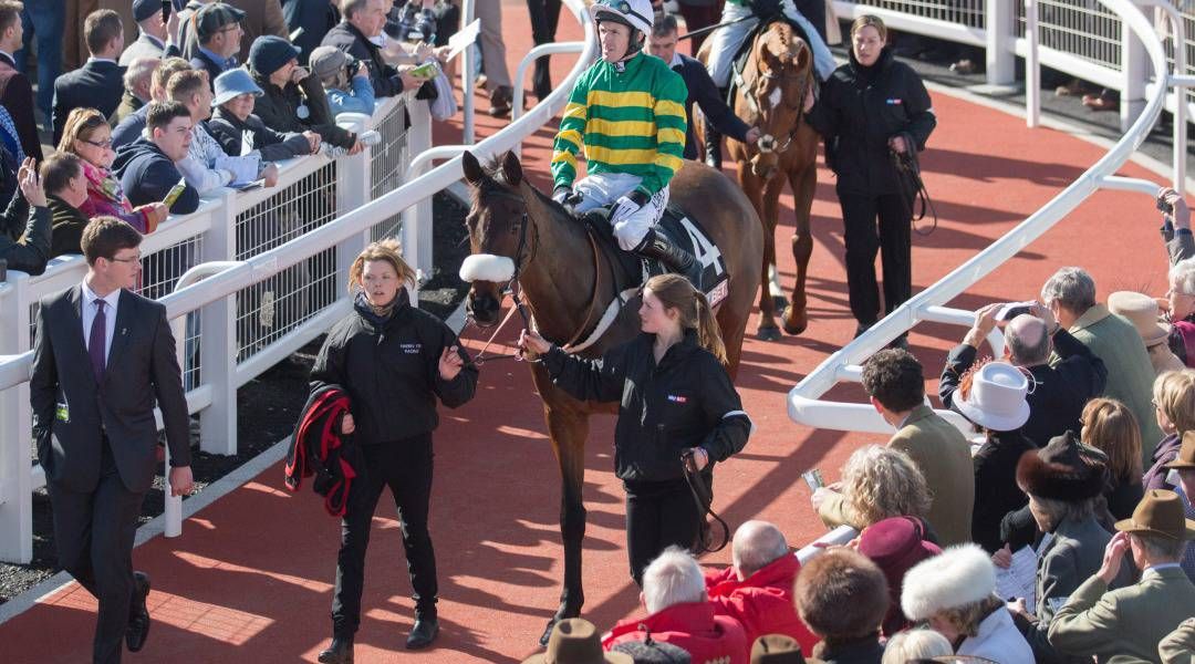 No doubt that AP McCoy can be a Longshot Lucky 15 star