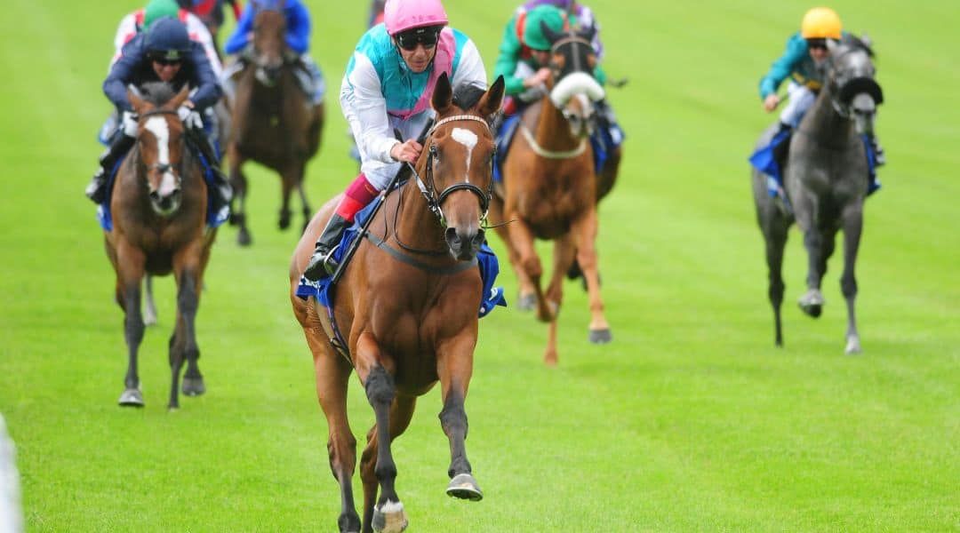 LISTEN: Punter’s Platform predict the King George, Galway and more