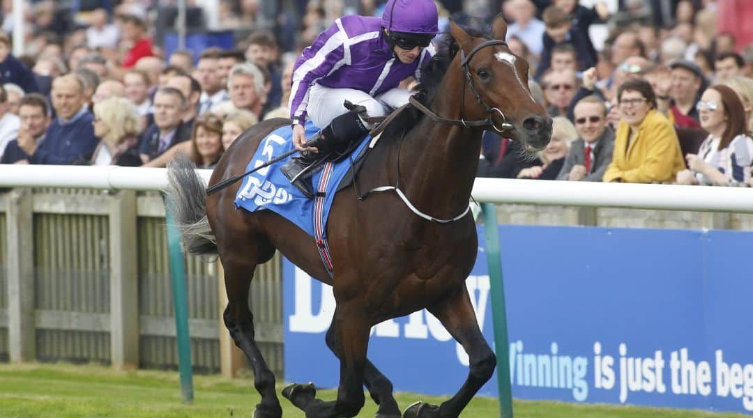 Horse-by-horse guide to the 2018 St Leger at Doncaster