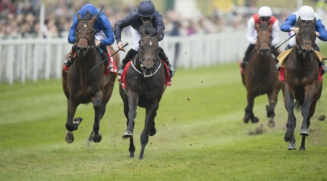 Cliffs of Moher shortens for the Eclipse following flurry of bets