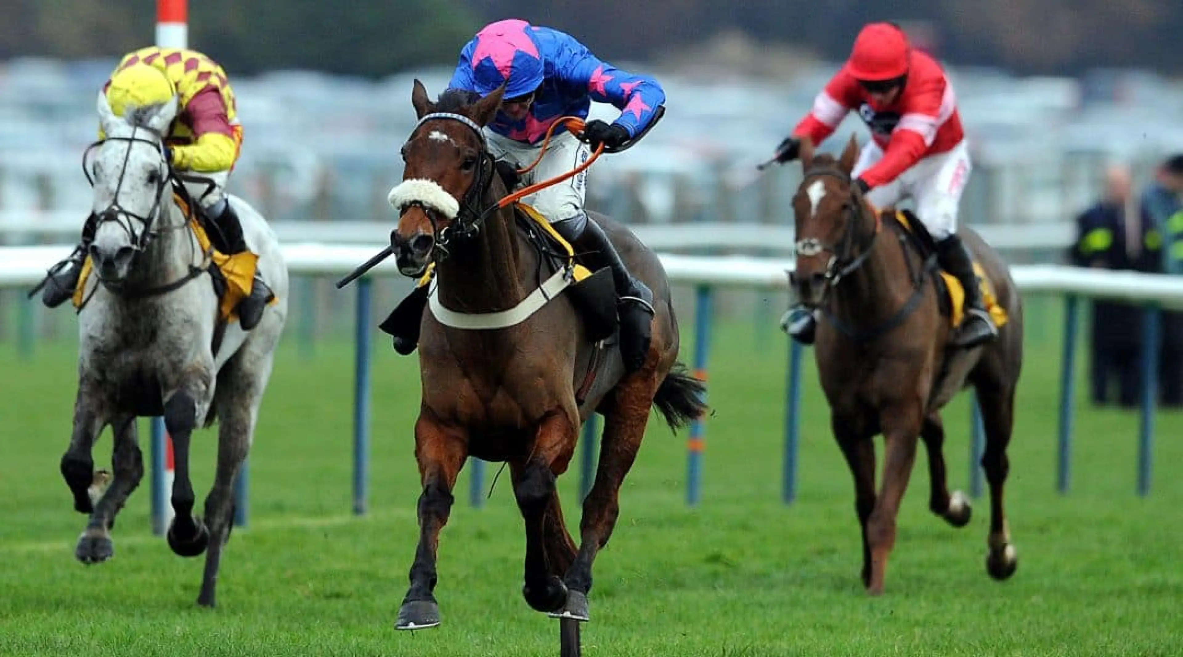 WATCH: Channel 4 Racing trio offer their thoughts on Cheltenham