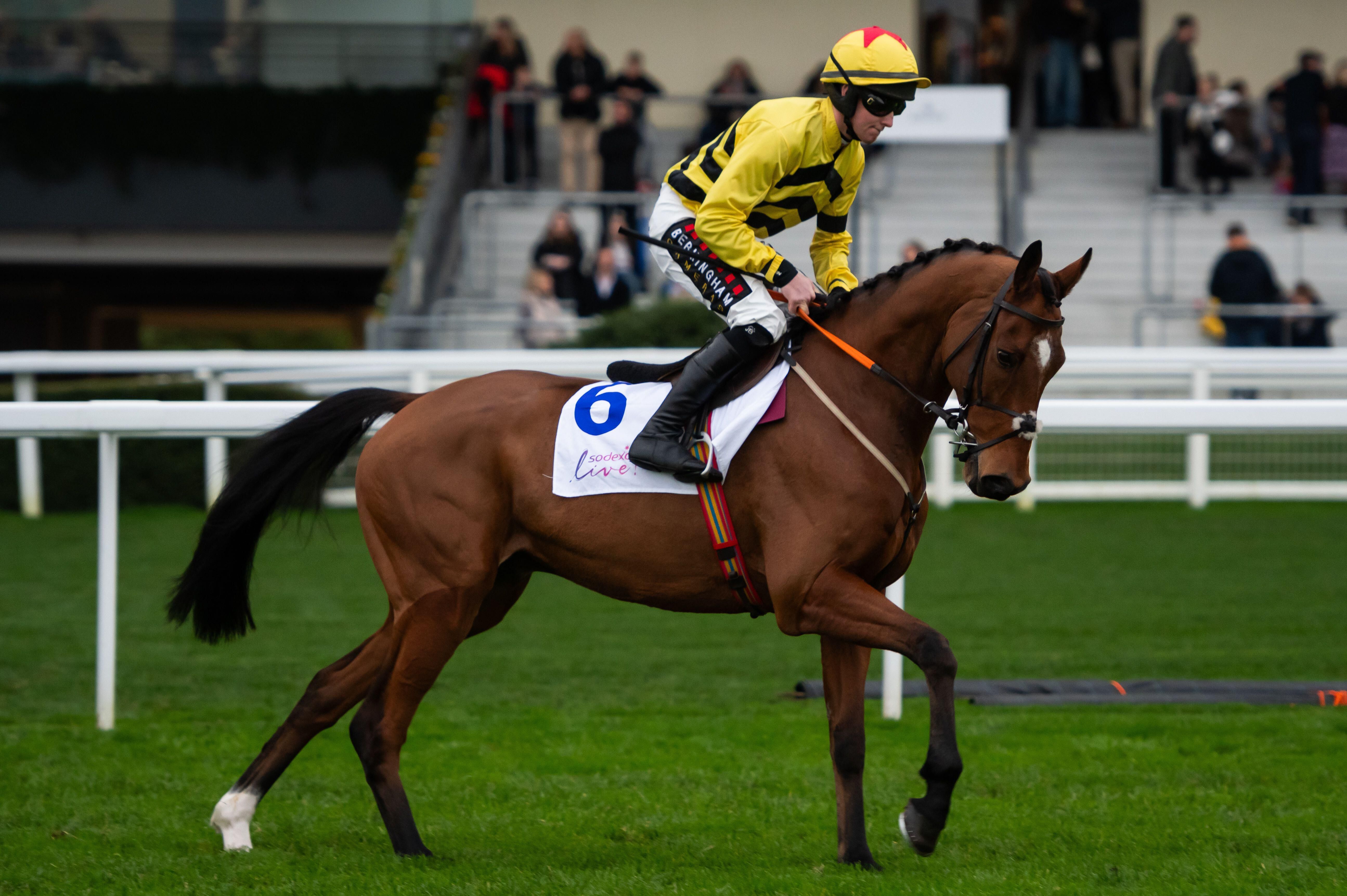 New joint-favourite for Topham after runners confirmed