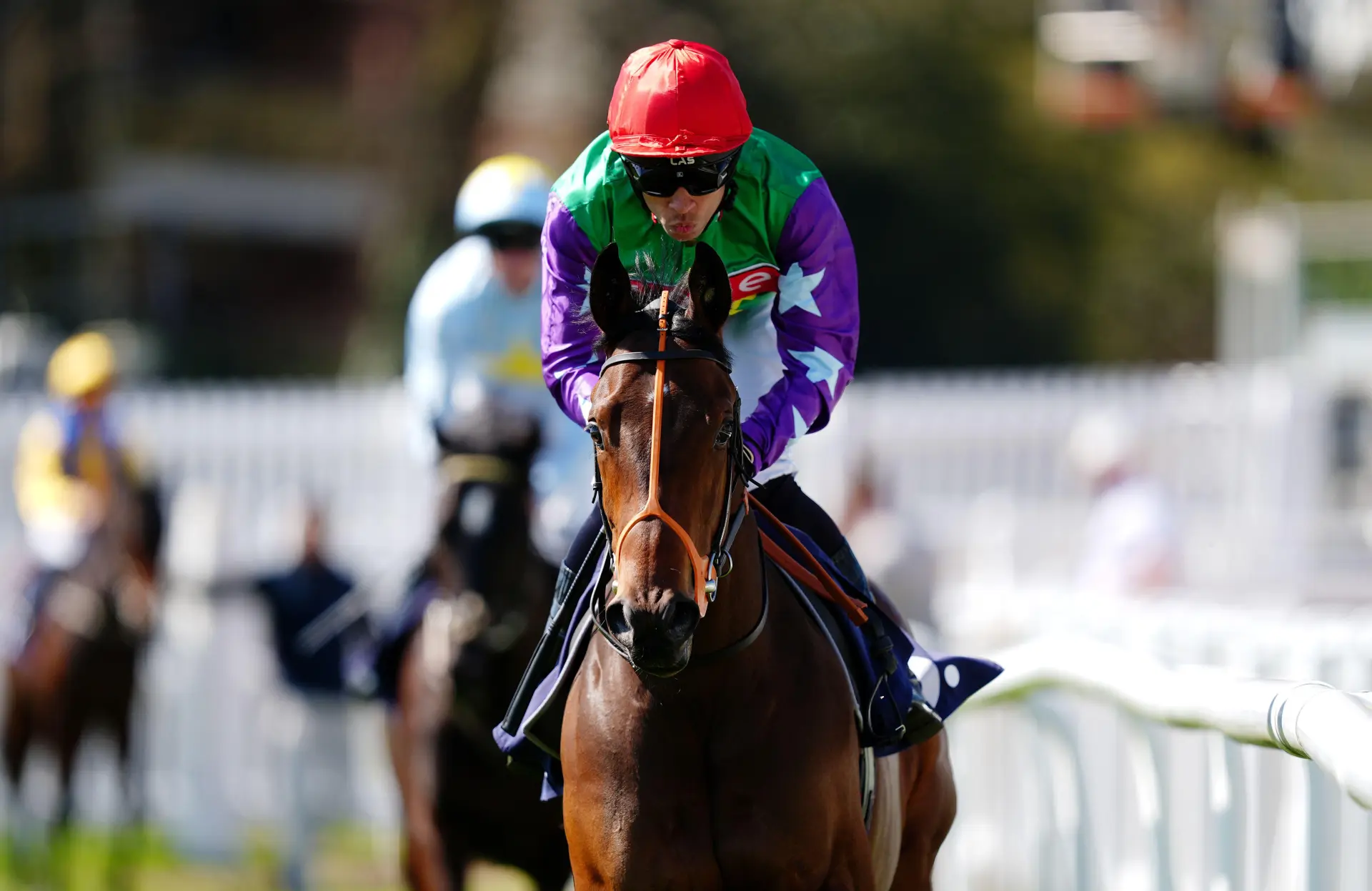 Sean Levey Glorious Goodwood rides blog - July 29, 2025